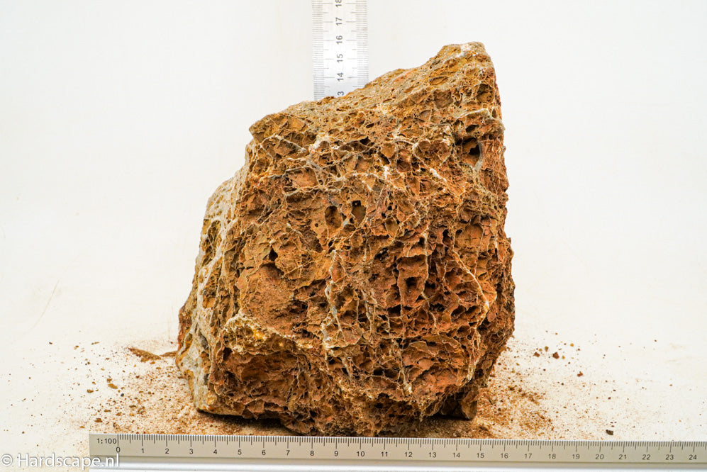 Maple Leaf Rock XL17 – Hardscape.nl